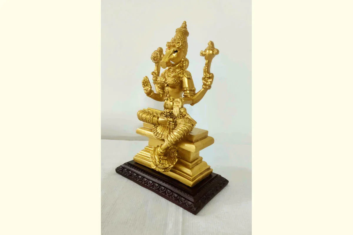 Varahi Devi Amman Statue – Puja Celebrations